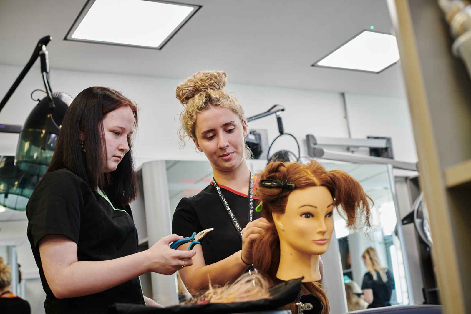 Hair Professional (Advanced & Creative) - HLNSC