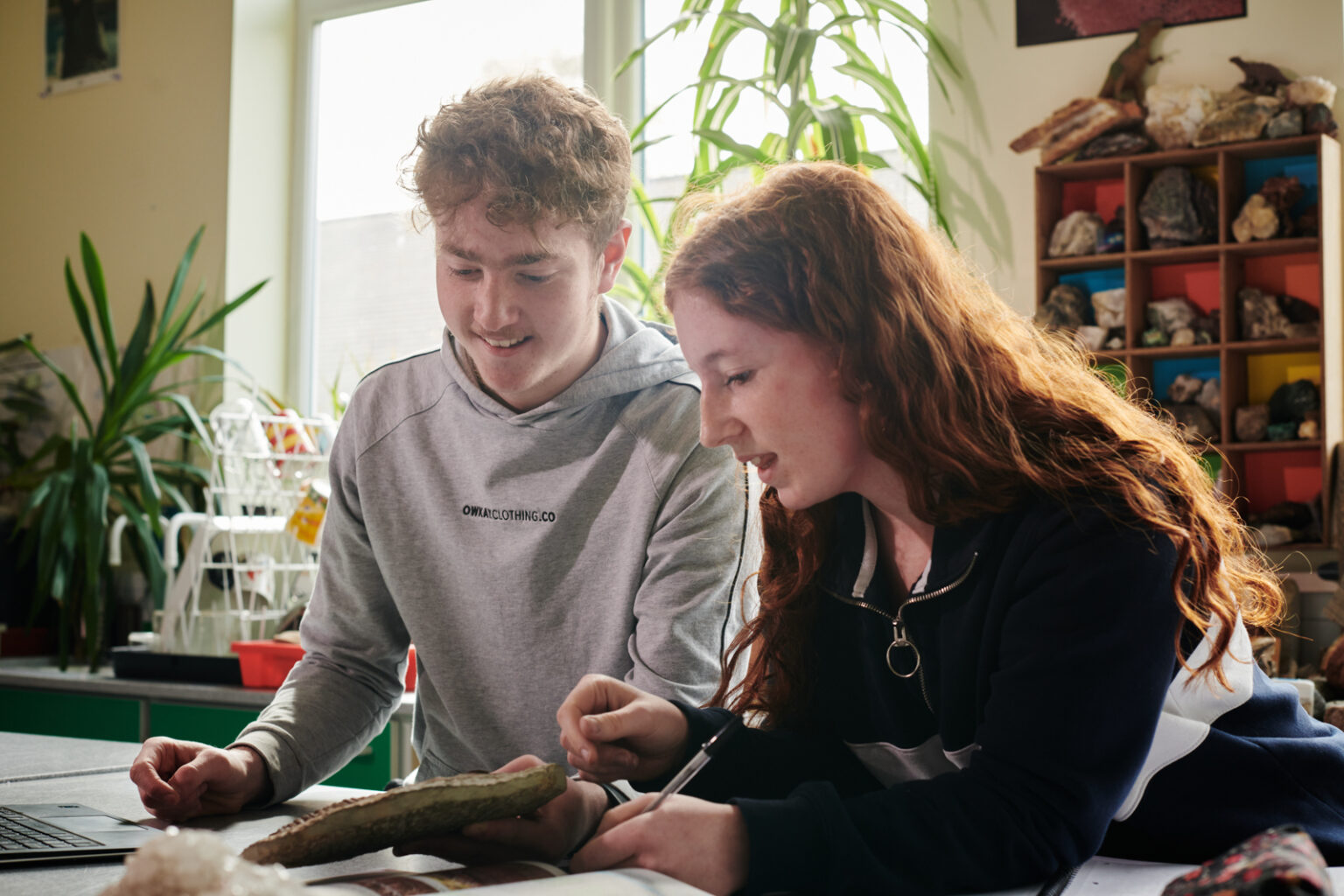 Higher Education - HLNSC