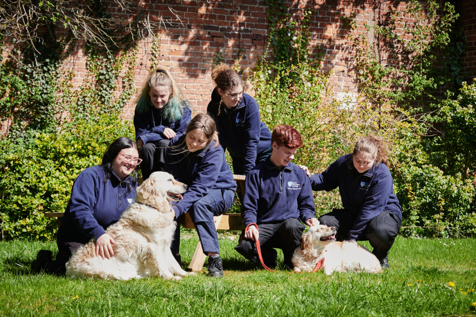 Prospectuses - HLNSC